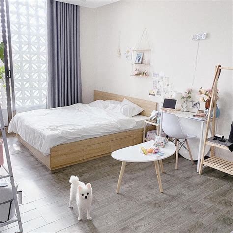 Top M U Decor Ph Ng Sinh Vi N P Nh T