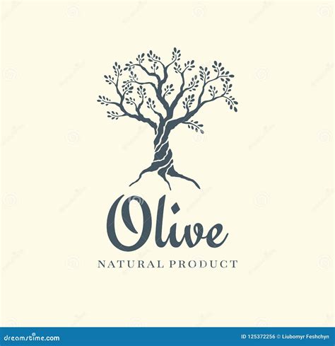 Olive Tree Vector Logo Design Template For Oil Tree Olive Silhouette