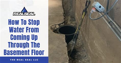 How To Stop Water Coming In Back Door At Brock Annette Blog