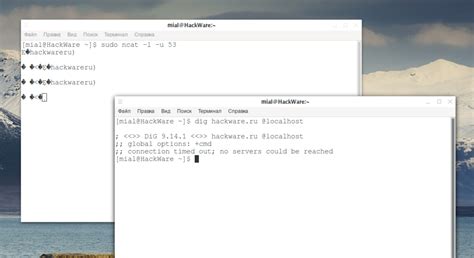 Remote Command Execution RCE Ethical Hacking And Penetration Testing