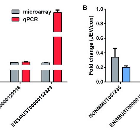 validation of the microarray data using quantitative real time pcr download scientific