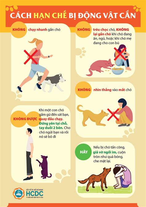 Infographic Hướng dẫn xử lý vết thương khi bị chó mèo cắn