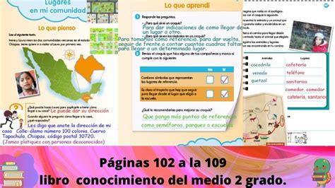 P Ginas A La Libro Del Conocimiento Del Medio Grado Youtube