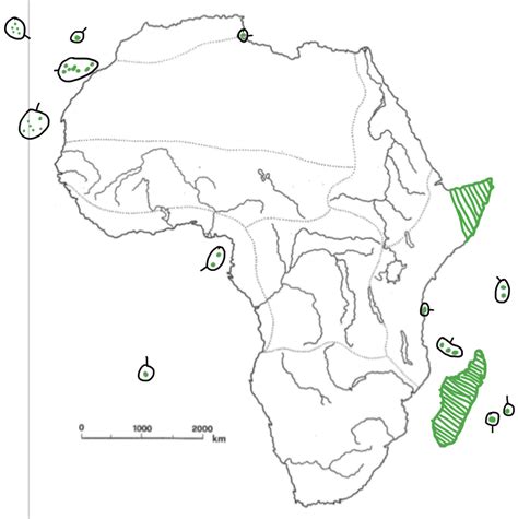 Schaubild Inseln Und Halbinseln Afrikas Geografie Quizlet