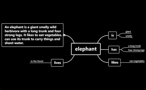 Elephant S Mind Map GrGaOmvnco Xmind