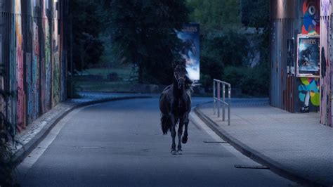 Foto zum Film Ostwind 5 Der große Orkan Bild 18 auf 33 FILMSTARTS de