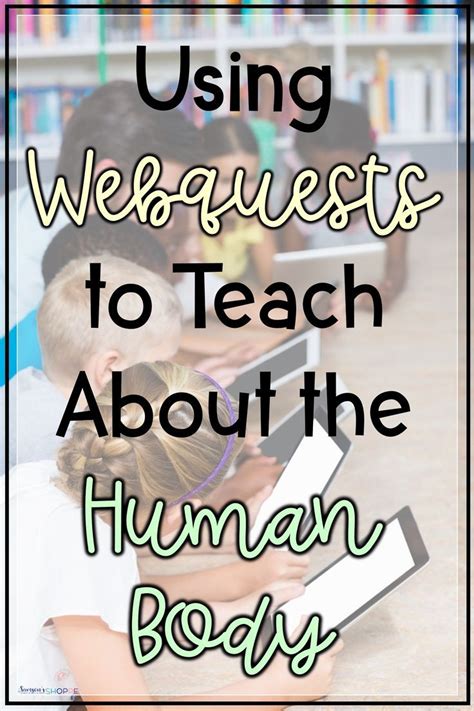 Human Body Use Websites As A Way For Students To Gain Background