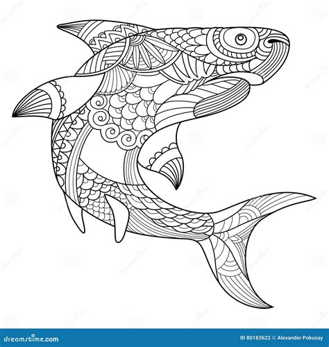 Livre De Coloriage De Requin Pour Le Vecteur D Adultes Illustration De