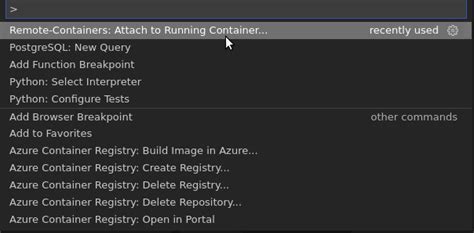 Attaching Visual Studio Code Text Editor To A Running Container Sandeepk