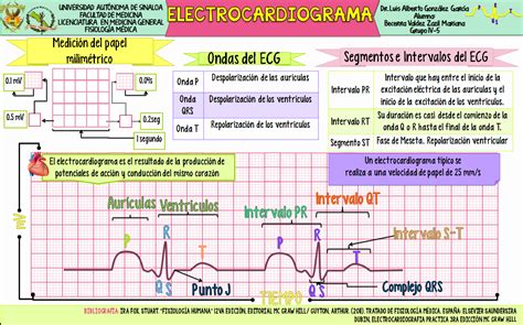 Fisiología Medica Tarea 11 Electrocardiograma Interpretación y Eje