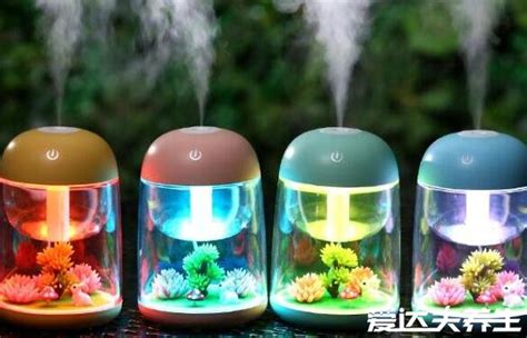人体佩戴什么可消除静电防静电手环可有效去电 附去静电技巧 爱达夫养生