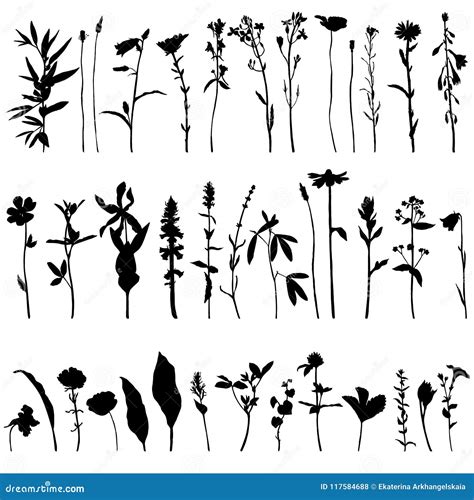 Sistema De Siluetas De Las Hierbas Y De Las Flores Ilustración del