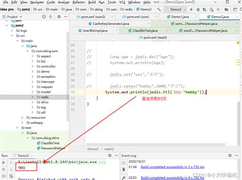redis 使用java代码操作redis 极客之音