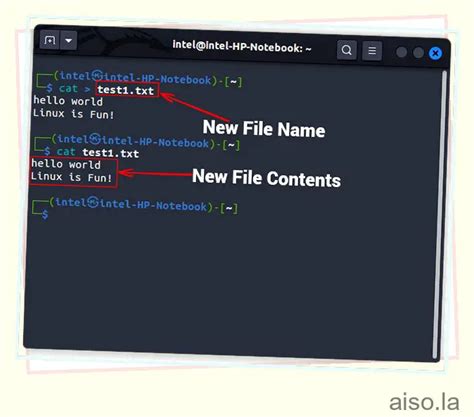 Cómo usar el comando cat en Linux con ejemplos aiso la