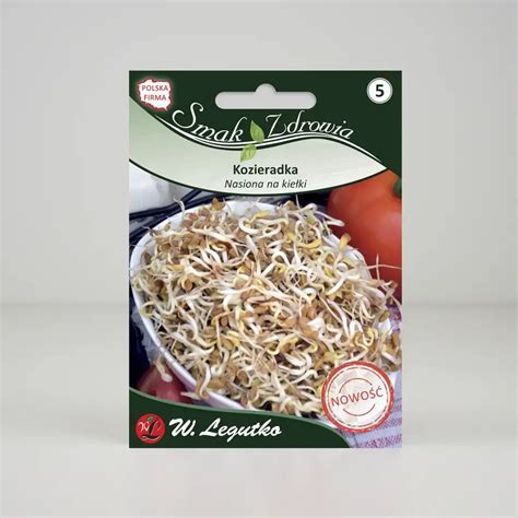 Nasiona na kiełki kozieradka 20g Nasiona W Legutko