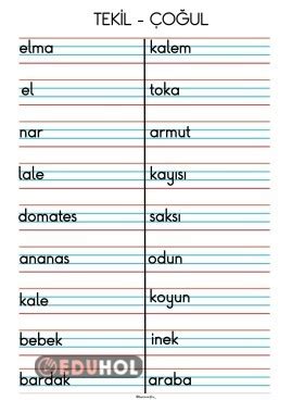 Tekil Çoğul Eduhol Etkinlik İndir Oyun Oyna Test Çöz Video İzle