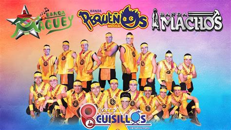 Pequeños Musical Banda Cuisillos Banda Machos Banda Maguey Banda