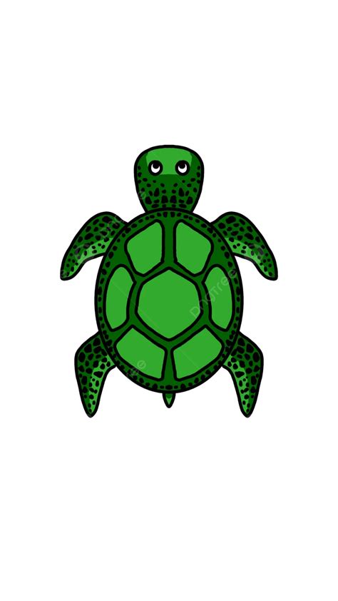 Green Turtle Cartoon Vector Green Turtle Cartoon Png And Vector With