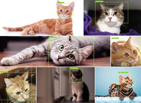 Tutorial On Implementing Yolo V3 From Scratch In Pytorch 47 Off