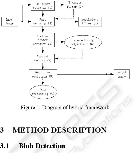 figure 1 from a hybrid segmentation framework using level set method for confocal microscopy