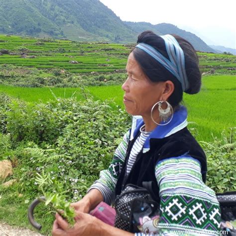 Things To Do In Sapa Vietnam In 2024 To Travel Too