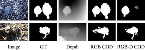 figure 1 from depth guided camouflaged object detection semantic scholar