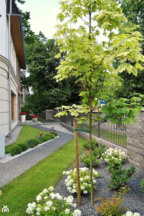 Nowoczesny elegancki ogród Mały z nawierzchnią pokrytą kostką