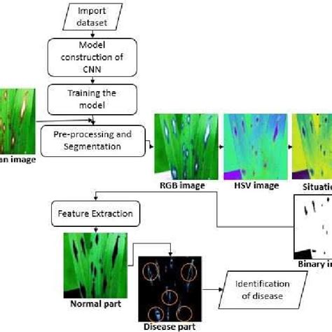 pdf identification of paddy leaf diseases using a supervised neural network