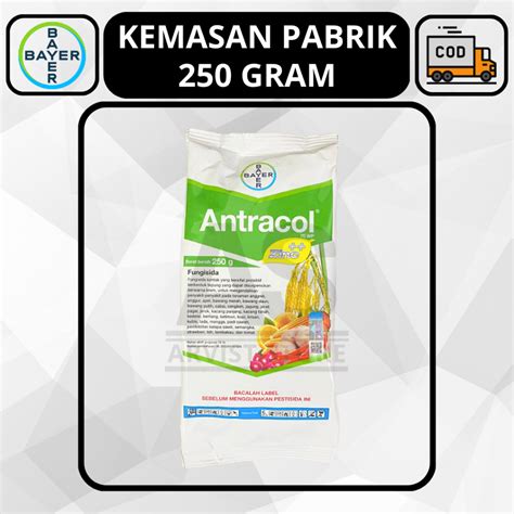 Jual Fungisida ANTRACOL 70 WP Zinc Bayer Propineb 250 Gram Shopee