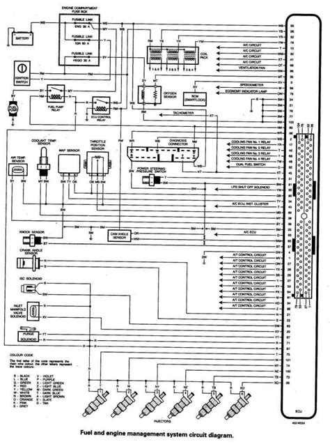 Stereo Wiring Diagram Au Falcon