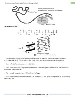 Solution Protein Structure Pogil Studypool Worksheets Library