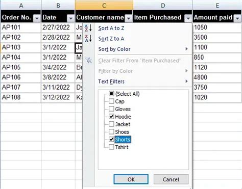 How To Add Use And Remove Filter In Excel