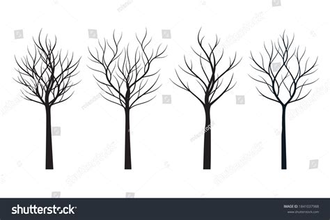 Set Black Naked Trees Vector Outline เวกเตอรสตอก ปลอดคาลขสทธ