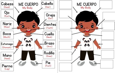 Body Parts Partes Del Cuerpo Mi Cuerpo BILINGUAL Interactive Printable