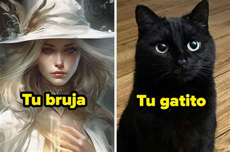 Descubre qué tipo de gato negro serías con este quiz