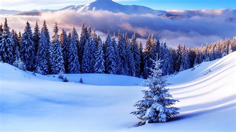 Montañas de la temporada de invierno Fondo de pantalla de alta calidad