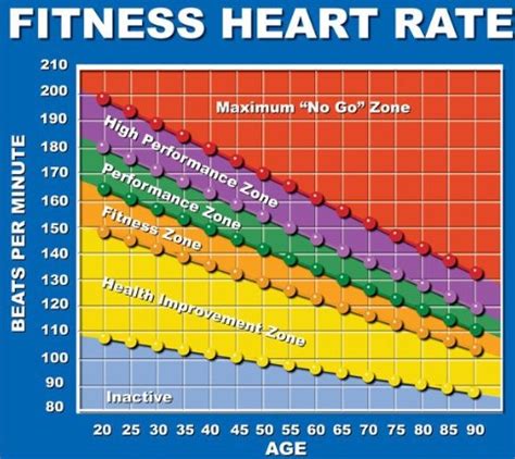 Fitness Heart Rate Chart