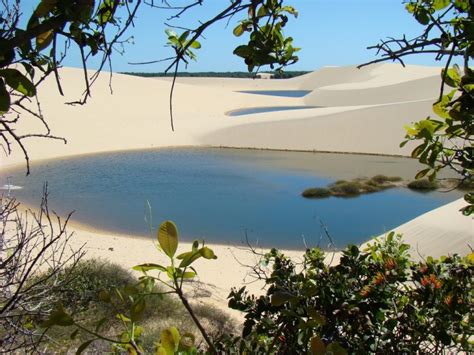 O que fazer no Delta do Parnaíba Guia completo