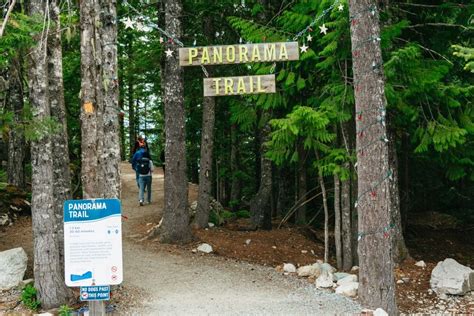 Vancouver Sea To Sky Gondola And Whistler Day Trip