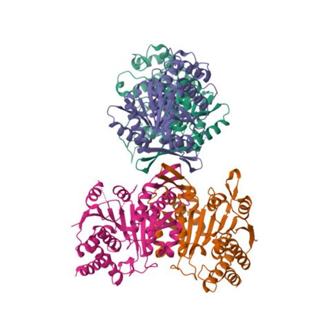 RCSB PDB 8GRB Crystal Structure Of A Constitutively Active Mutant Of