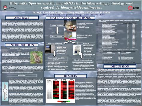 Student Posters The Storey Lab Cell And Molecular Responses To Stress