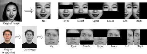 figure 2 from facial expression recognition under partial occlusion based on gabor filter and