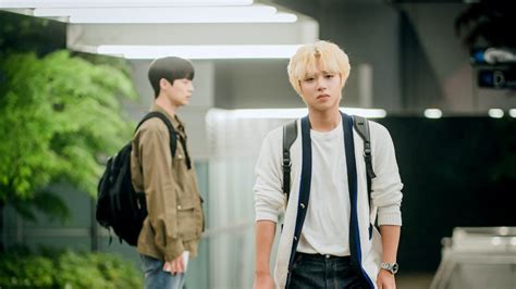 8 novos K Dramas e séries BL grátis para assistir no Viki