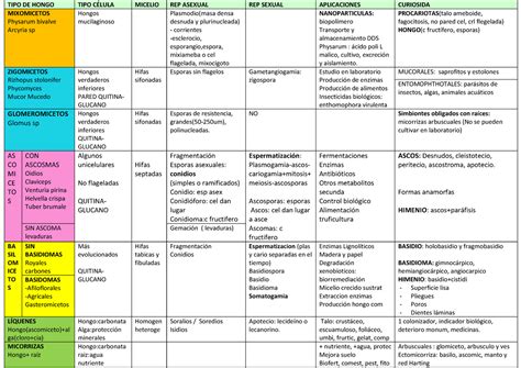 Cuadro Comparativo Hongos Warning TT Undefined Function 32 TIPO DE