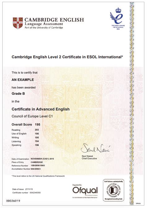 Cambrigde C1 Advanced Certificate Como PrepararloUPDATED 2019
