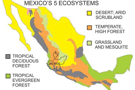 Jalisco A Showcase For Mexicos Wide Biodiversity Discover San