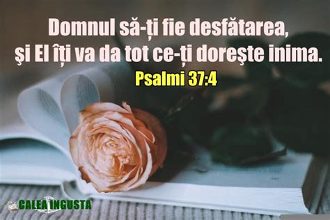30 de versete biblice pentru zile de naștere cu imagini Calea Ingusta