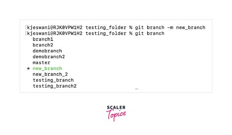 Git Rename Branch Scaler Topics