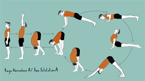Surya Namaskar Sun Salutation Yoga