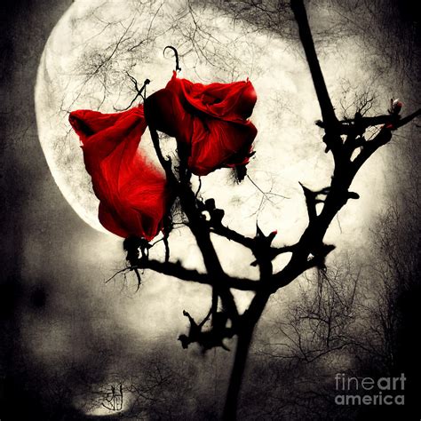 Red Digital Art By Allie Gentry Fine Art America